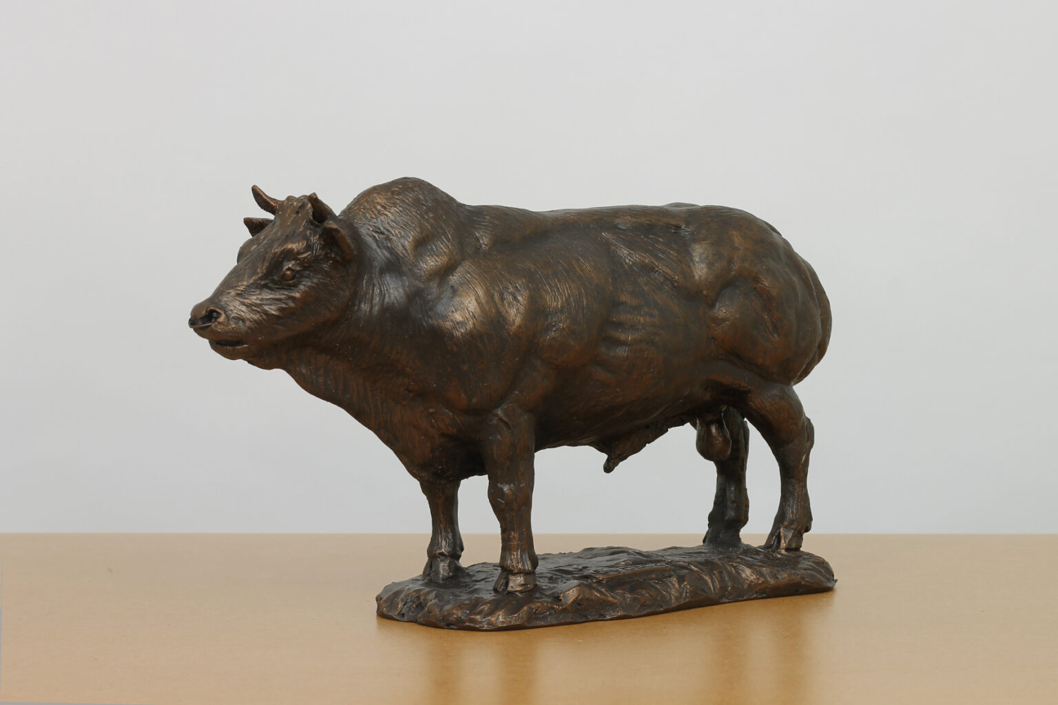 Wim van Lankveld Beelden - Wim van Lankveld